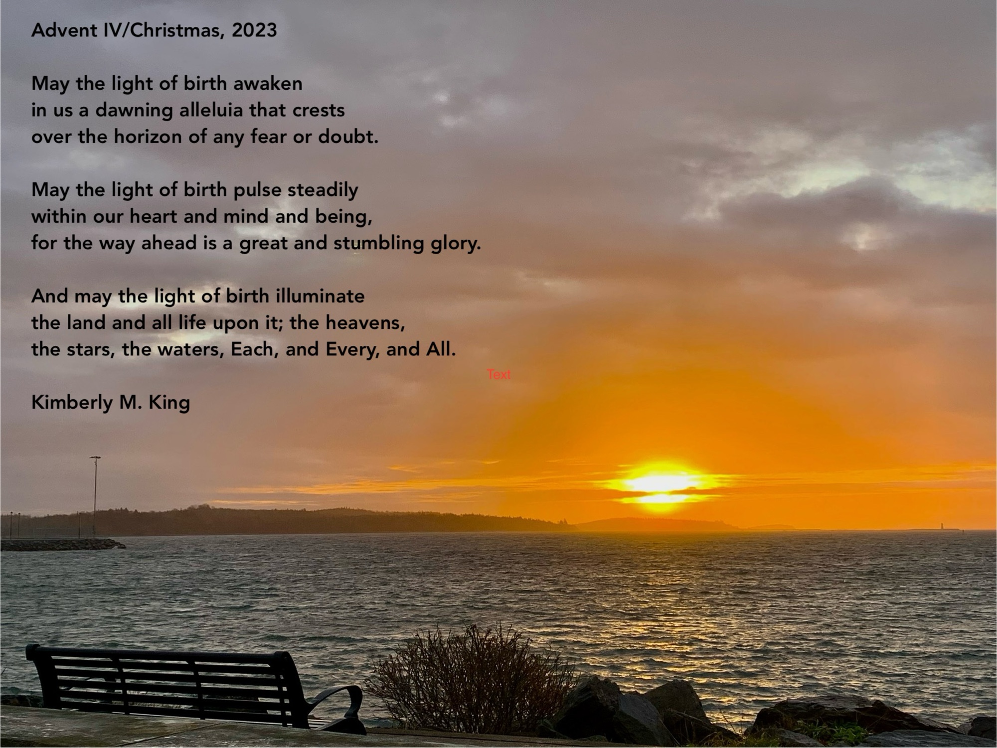 Advent IV/ Christmas 2023 – Consider the Lilies